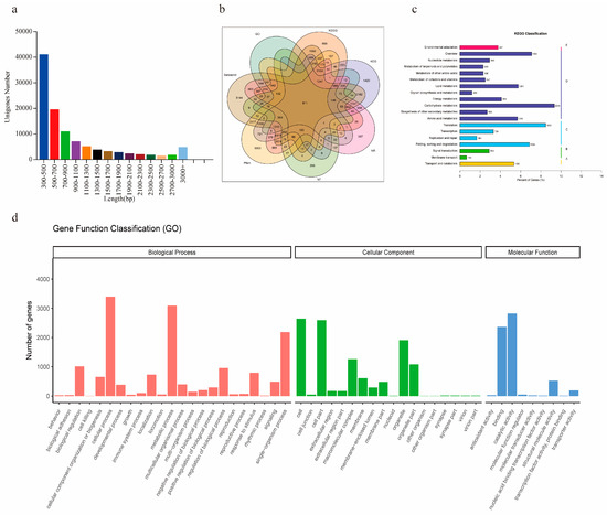Comparative Transcriptome Analysis Provides Insights into the Molecular ...
