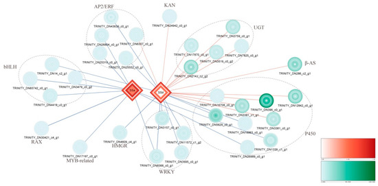 Comparative Transcriptome Analysis Provides Insights into the Molecular ...
