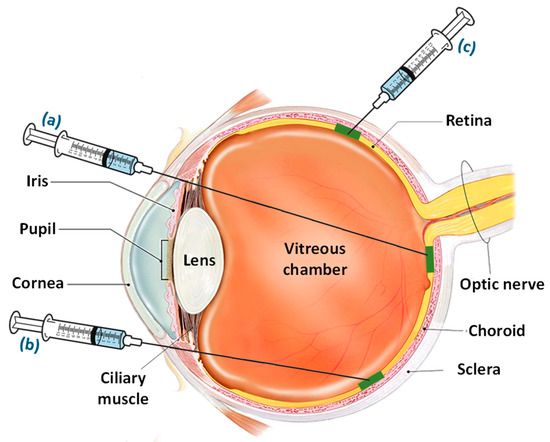 Novel Approaches in the Drug Development and Delivery Systems for Age ...