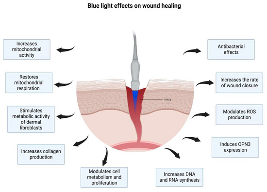 Photobiomodulation with Blue Light on Wound Healing: A Scoping Review