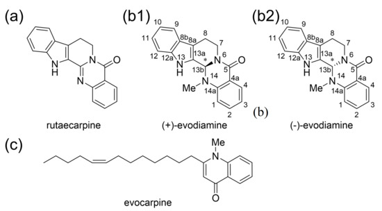 Molecular Dynamics Simulation of the Complex of PDE5 and Evodiamine