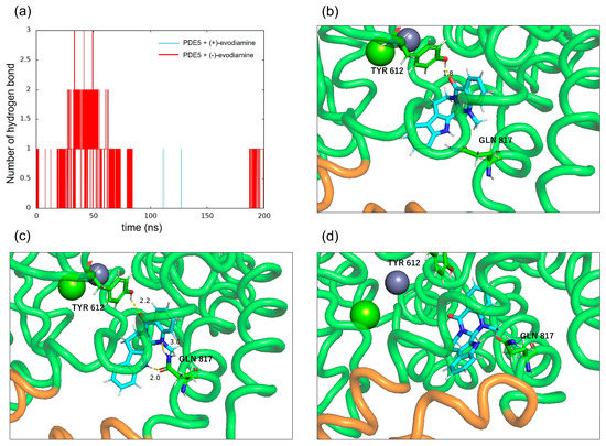 Molecular Dynamics Simulation of the Complex of PDE5 and Evodiamine