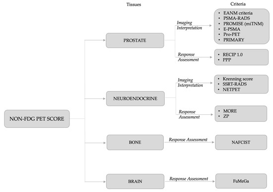 PET Criteria by Cancer Type from Imaging Interpretation to Treatment ...