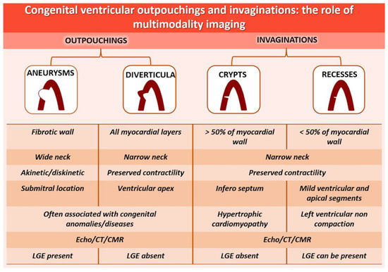 The Use of Multimodality Imaging for the Diagnosis of Myocardial ...
