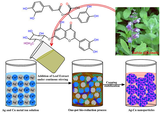 Biosynthesis of Novel Ag-Cu Bimetallic Nanoparticles from Leaf Extract of Salvia officinalis and ...