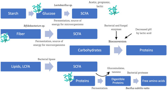 Effect of Fermentation on the Nutritional Quality of the Selected ...