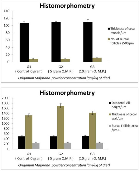 Modulation of Immunity, Antioxidant Status, Performance, Blood ...