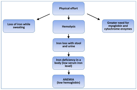 Evaluation of Serum Iron Parameters among Men Performing Regular ...