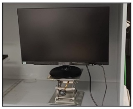 Eye-Tracker Study of the Developmental Eye Movement Test in Young ...