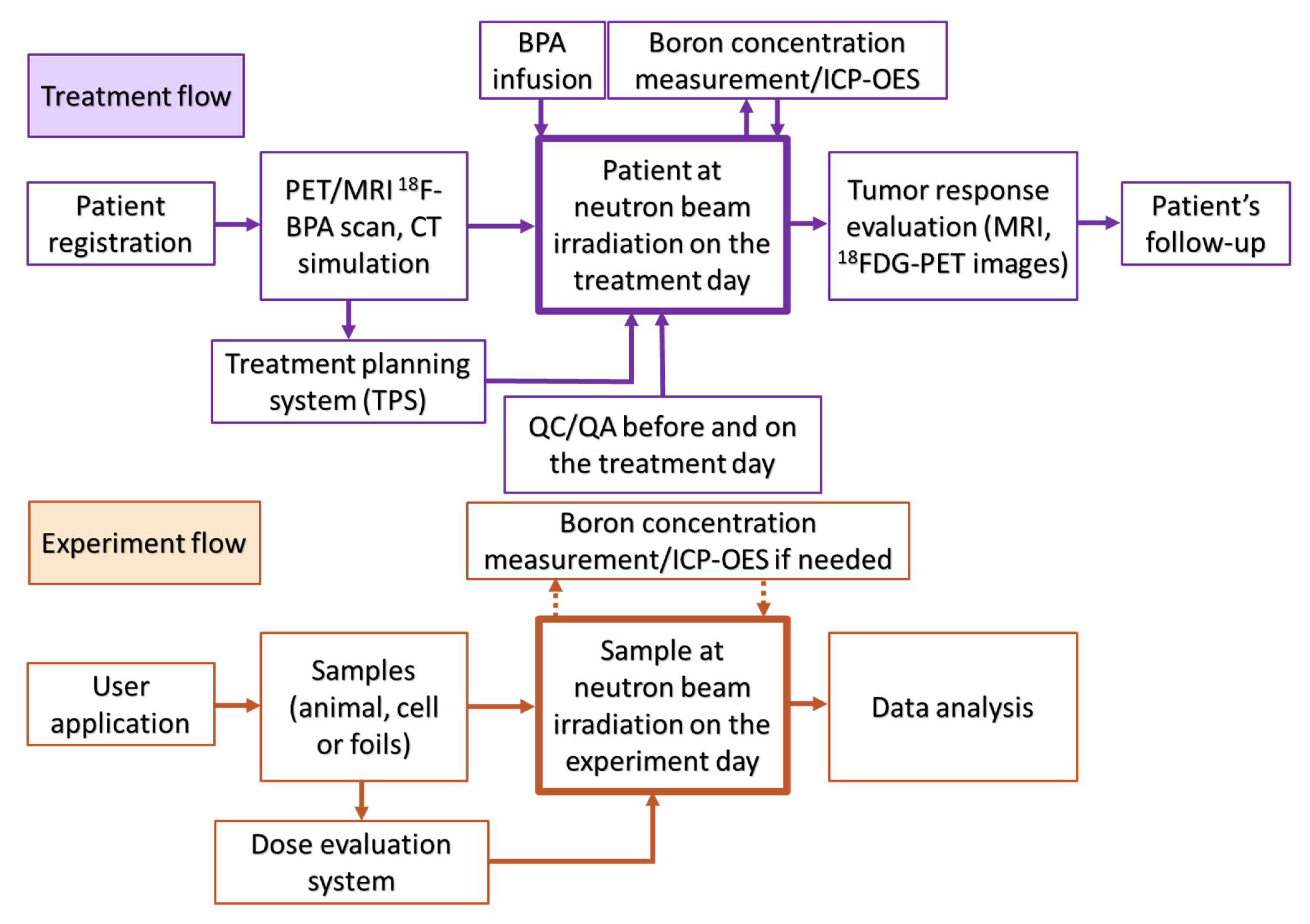 NeuTHOR Station—A Novel Integrated Platform for Monitoring BNCT Clinical Treatment, Animal and ...