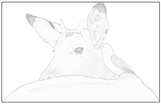 Host–Parasite Coevolution in Primates