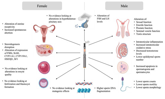 An Overview of E-Cigarette Impact on Reproductive Health