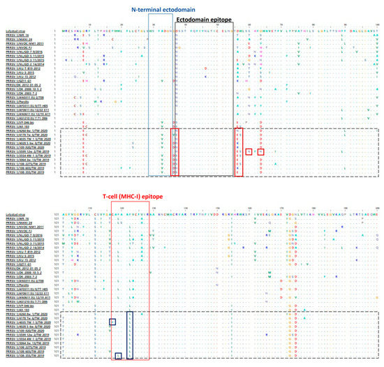 Molecular Characteristics and Pathogenicity of Porcine Reproductive and ...