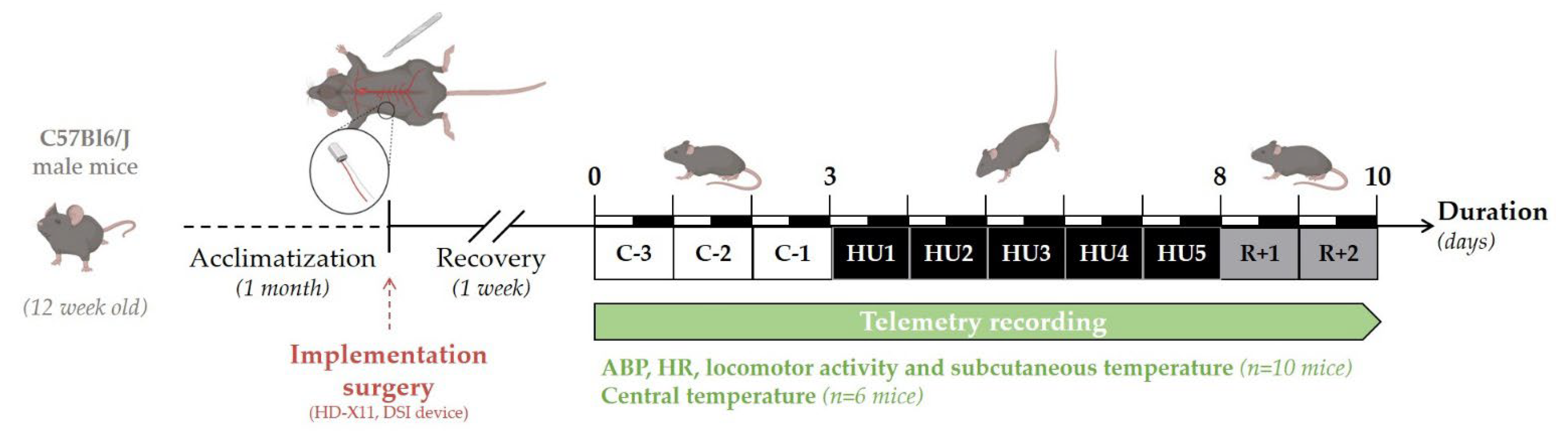 Autonomic Nervous System Adaptation and Circadian Rhythm Disturbances ...