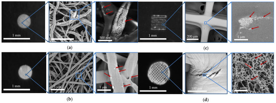 Photoluminescent Scaffolds Based on Natural and Synthetic Biodegradable Polymers for Bioimaging ...