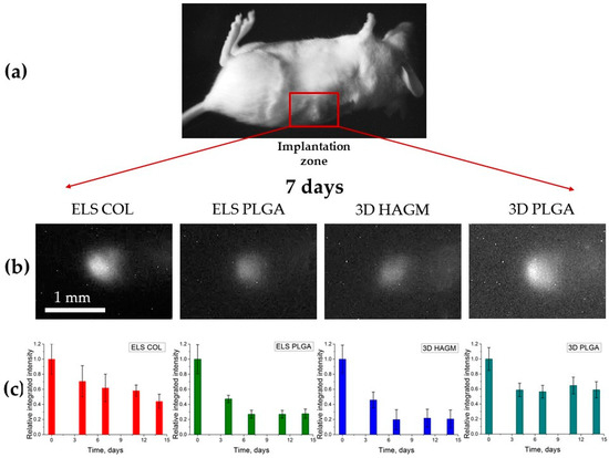 Photoluminescent Scaffolds Based on Natural and Synthetic Biodegradable Polymers for Bioimaging ...