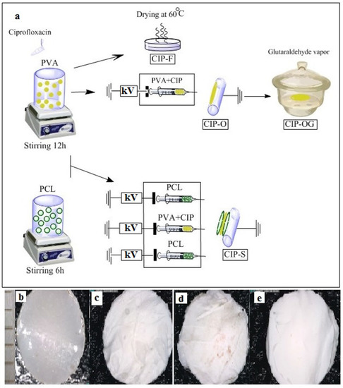 Life | Free Full-Text | Preparation and Evaluation of Nanofibrous and Film-Structured ...