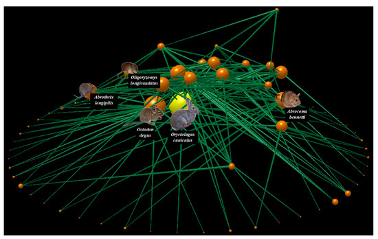 European Rabbit Invasion in a Semi-Arid Ecosystem of Chile: How ...