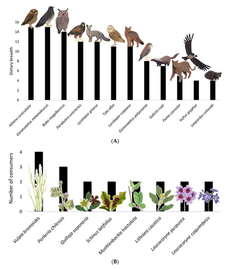 European Rabbit Invasion in a Semi-Arid Ecosystem of Chile: How ...