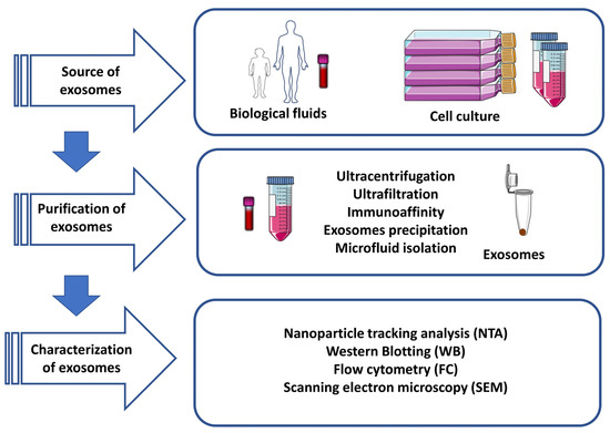 Recent Advancements on the Use of Exosomes as Drug Carriers for the Treatment of Glioblastoma