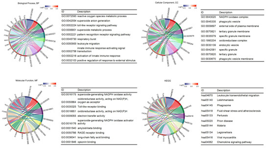 Identification of Hub Genes and Biological Mechanisms Associated with Non-Alcoholic Fatty Liver ...