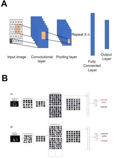 Deep Learning for Echocardiography: Introduction for Clinicians and ...