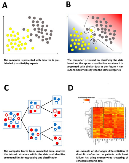 Deep Learning for Echocardiography: Introduction for Clinicians and ...
