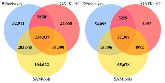 Evaluation of Different SNP Analysis Software and Optimal Mining ...