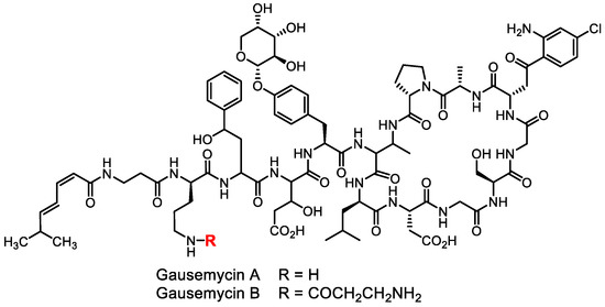 Life | Free Full-Text | Modern Trends in Natural Antibiotic Discovery