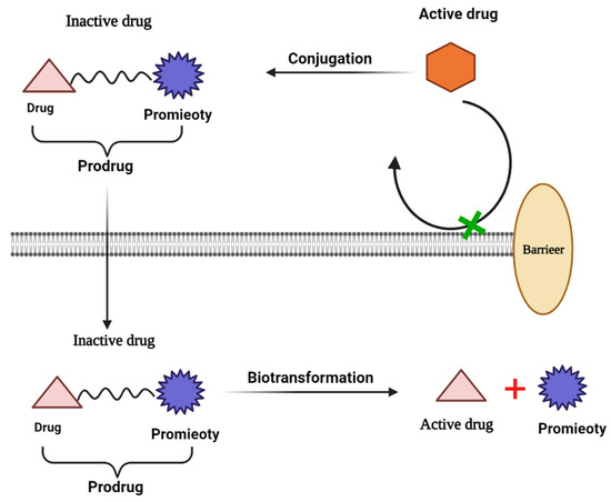 Advancement in Solubilization Approaches: A Step towards ...