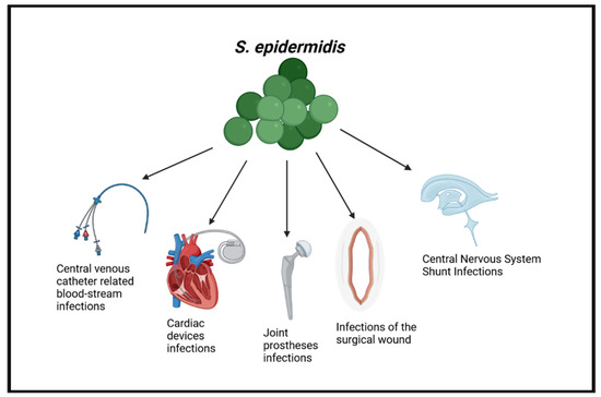 Difficult-to-Treat Pathogens: A Review on the Management of Multidrug ...