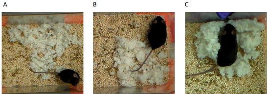 Galactic Cosmic Irradiation Alters Acute and Delayed Species-Typical ...