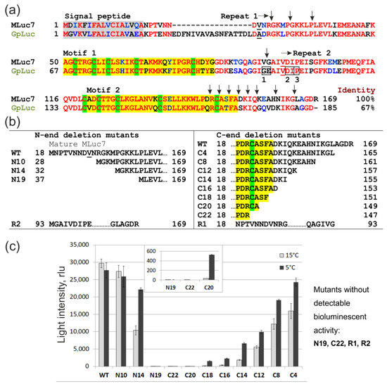 Localization of the Catalytic Domain of Copepod Luciferases: Analysis ...