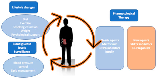 Life | Free Full-Text | Novel Drugs for the Management of Diabetes ...
