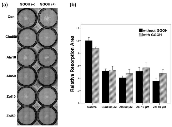 Geranylgeraniol Application in Human Osteoblasts and Osteoclasts for ...