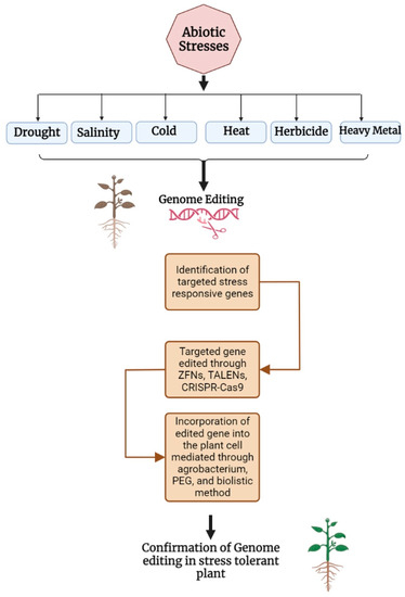 Genome Editing and Improvement of Abiotic Stress Tolerance in Crop Plants
