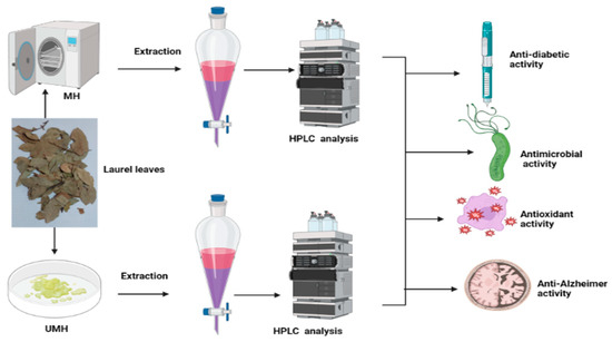 Anti-Helicobacter pylori, Antioxidant, Antidiabetic, and Anti-Alzheimer ...