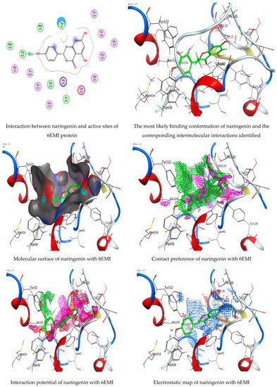 Anti-Helicobacter pylori, Antioxidant, Antidiabetic, and Anti-Alzheimer ...