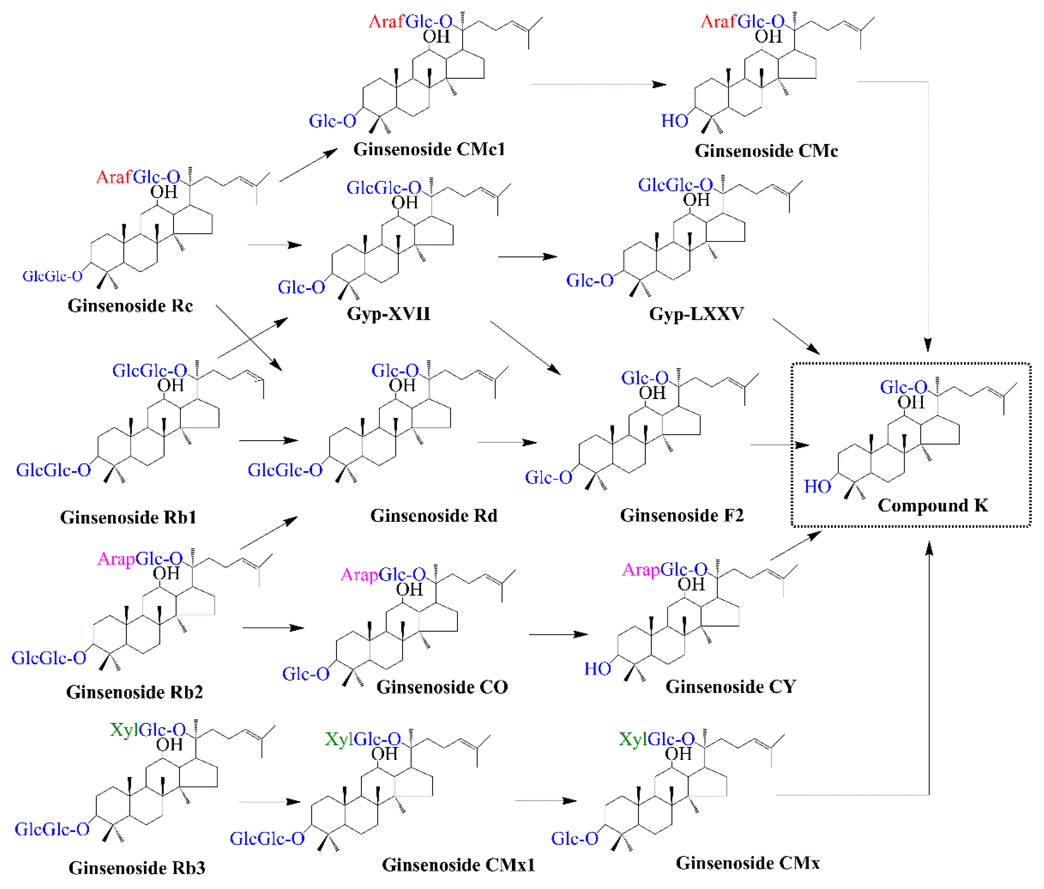 Compound K Production: Achievements and Perspectives