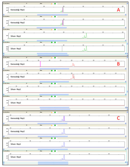 Next-Generation-Sequencing-Based Simple Sequence Repeat (SSR) Marker ...