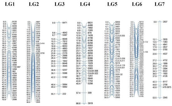 Next-Generation-Sequencing-Based Simple Sequence Repeat (SSR) Marker Development and Linkage ...