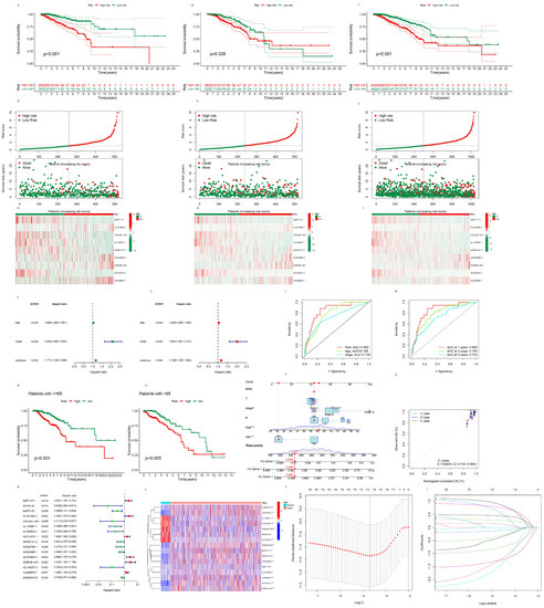 Bridging Pyroptosis and Immunity: A Comprehensive Study of the Pyroptosis-Related Long Non ...