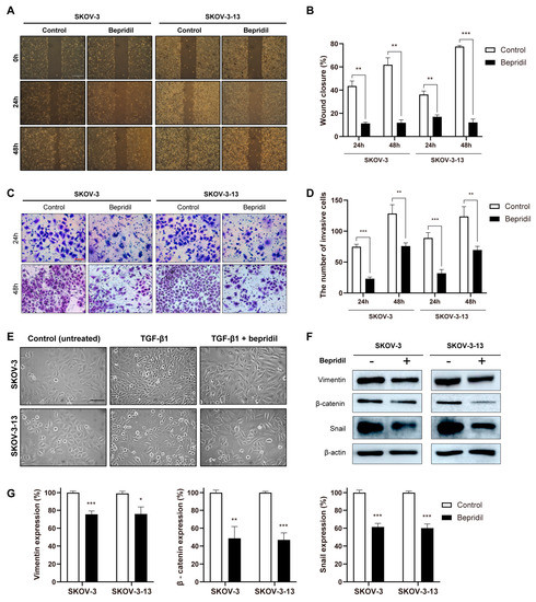 Suppression of Metastatic Ovarian Cancer Cells by Bepridil, a Calcium ...