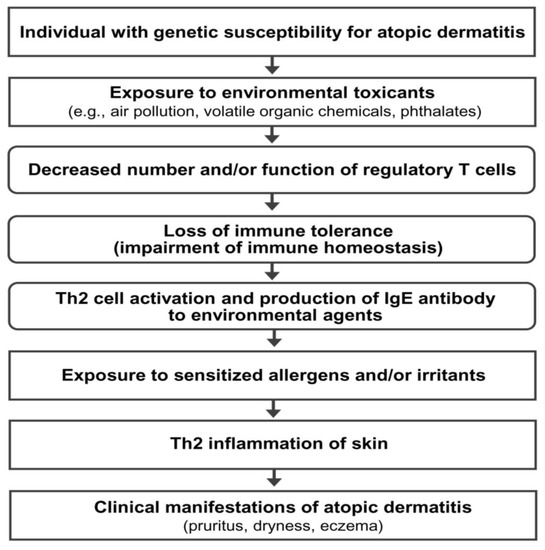 Regulatory T Cell-Targeted Immunomodulatory Therapy for Long-Term Clinical Improvement of Atopic ...