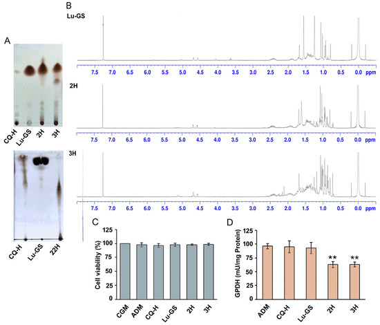 Lupenone-Rich Fraction Derived from Cissus quadrangularis L. Suppresses ...