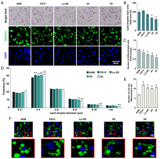 Lupenone-Rich Fraction Derived from Cissus quadrangularis L. Suppresses ...