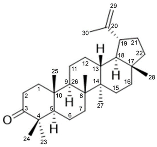 Lupenone-Rich Fraction Derived from Cissus quadrangularis L. Suppresses ...