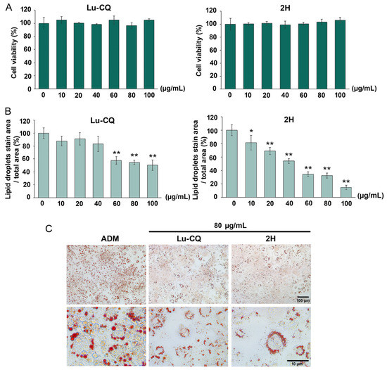 Lupenone-Rich Fraction Derived from Cissus quadrangularis L. Suppresses ...