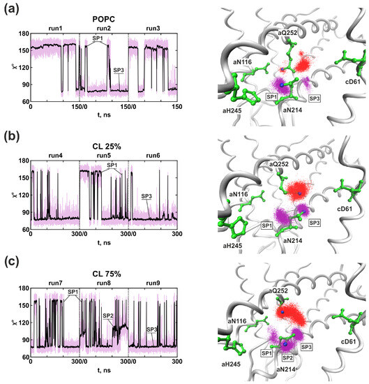 Membrane Lipid Composition Influences the Hydration of Proton Half ...