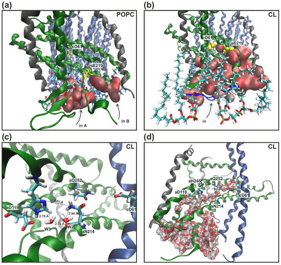 Membrane Lipid Composition Influences the Hydration of Proton Half ...